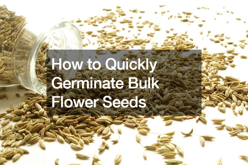 How to Quickly Germinate Bulk Flower Seeds - GLAMOUR HOME